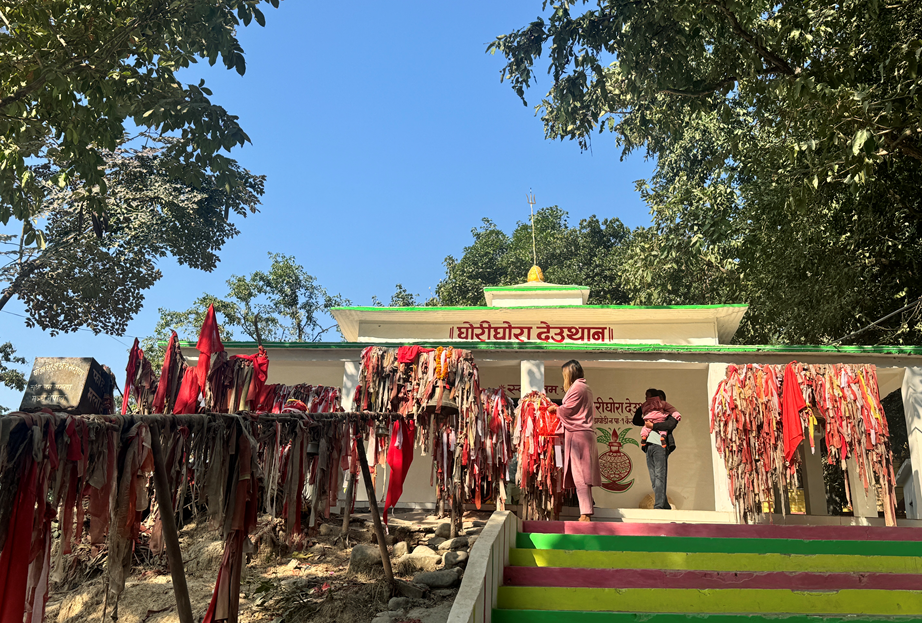 लवाङ्गी पूजामा रमाउँदै कैलालीका थारू समुदाय - Tourism Face