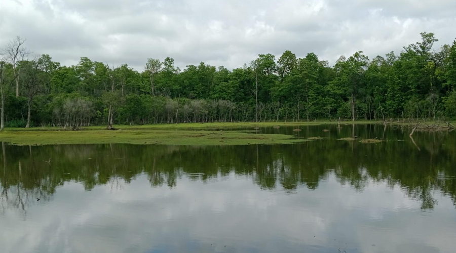 पर्यटकको रोजाइमा च्यामा सिमसार क्षेत्र - Tourism Face